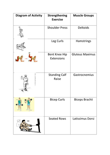 Edexcel GCSE PE Muscular System Card Sorting Activity | Teaching Resources