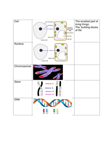 Genetics and Inheritance | Teaching Resources