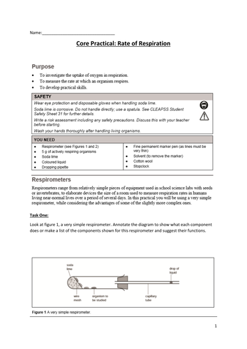 SNAB A2 Core Pracitcal- Rate of Respiration | Teaching Resources