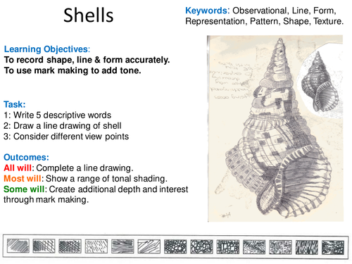 Shells, drawing and mark making by charlotte74 - Teaching Resources - Tes