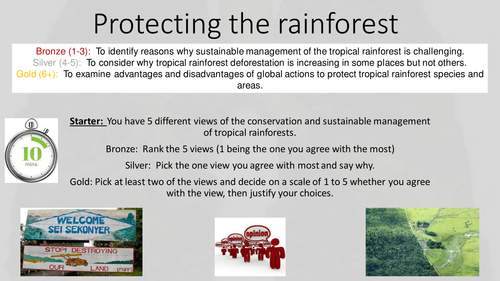 Protecting the rainforest | Teaching Resources