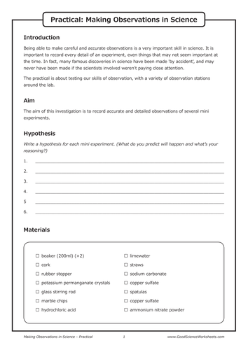 Making Observations Worksheet Making Observations Worksheet