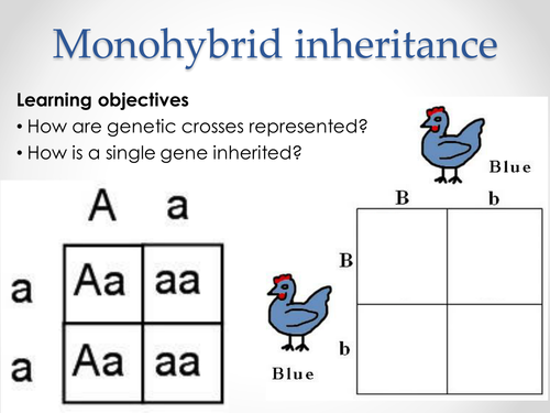 AQA A-level Biology (2016 spec). Section 7 Topic 17: Inherited changes ...