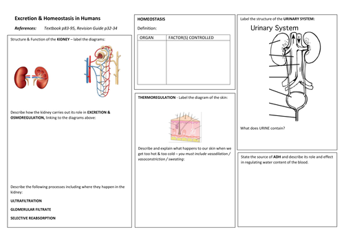 Excretion Definition Biology
