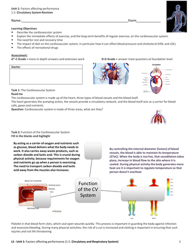 Igcse Pe 1 5 Circulatory System Revision Recap Teaching Resources