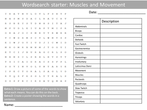 PE Muscles & Movement Keywords GCSE Starter Activities Wordsearch ...