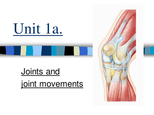 Skeleton Bones And Joints Gcse Pe Teaching Resources