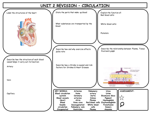 GCSE Circulation Revision Mat by thompsontim10 - Teaching Resources - Tes