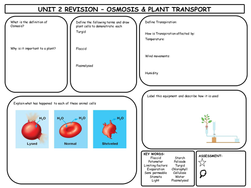 GCSE Osmosis & Plant Transport Revision Mat | Teaching Resources