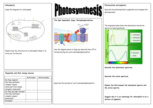 A2 Photosynthesis Revision mat | Teaching Resources A2 Photosynthesis Revision mat | Teaching Resources