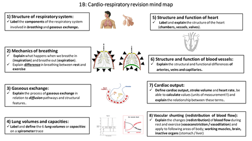 AQA GCSE PE - 1b) Cardio-respiratory system revision by franferrrari ...