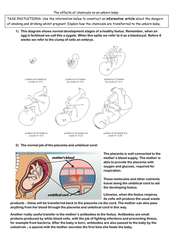 Effects of alcohol, drug and tobacco on foetal development leaflet task ...