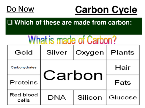 The Carbon Cycle | Teaching Resources