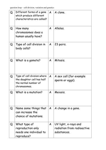 GCSE Genetics word loop | Teaching Resources