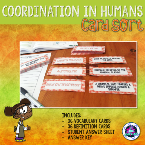 Coordination in Humans Vocabulary Card Sort | Teaching Resources