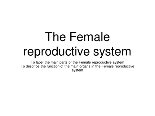 Female Reproductive System Teaching Resources