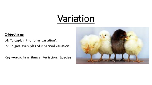 Variation | Teaching Resources Variation | Teaching Resources