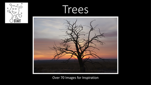 Art. Photos of trees for inspiration | Teaching Resources