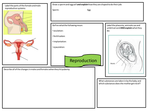 Reproduction topic revision mat | Teaching Resources