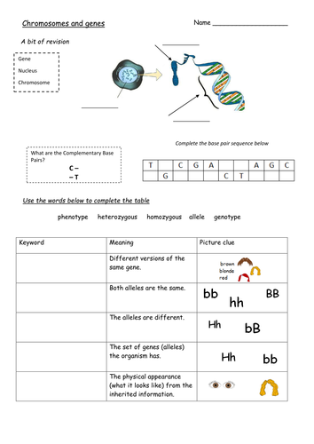 Genetics Worksheets Doc Genes: Click And Clone ICT Lesson Worksheet