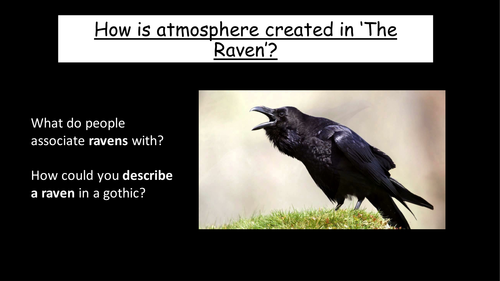 The Raven Lesson | Teaching Resources