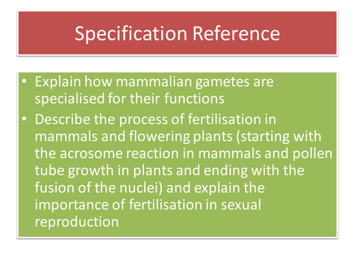 Edexcel A-level Fertilisation in plants and animals | Teaching Resources