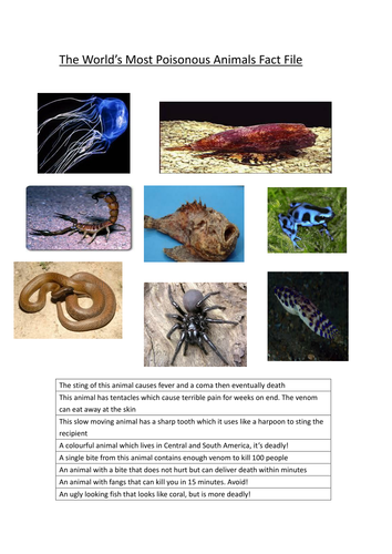 Poisonous Animals | Teaching Resources