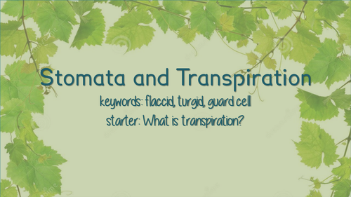 Stomata & Transpiration | Teaching Resources