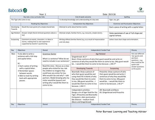 Tiger Who Came to Tea 2 weekly lesson plans | Teaching Resources