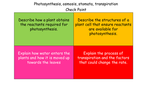Differentiated Plant questions confidence task | Teaching Resources