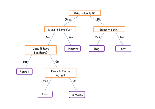 Animal Identification Keys Year 4 by moleylong - Teaching Resources - Tes