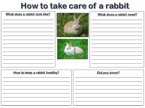 Non-fiction animal writing frame | Teaching Resources