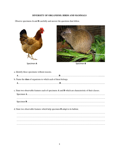 DIVERSITY OF ORGANISMS. BIRDS AND MAMMALS | Teaching Resources