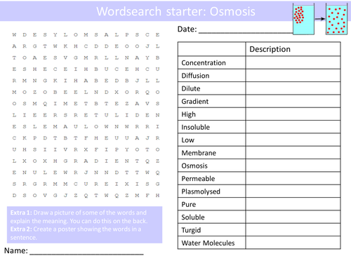 Science Biology Osmosis Wordsearch Crossword Anagrams Keyword Starters ...