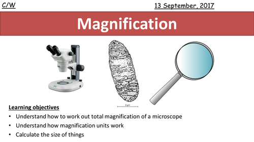 Magnification lesson | Teaching Resources