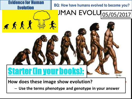CB4a Evidence for Human Evolution | Teaching Resources CB4a Evidence for Human Evolution | Teaching Resources