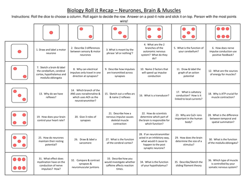 OCR A level Biology Neurone, Brain & Muscles revision activity ...