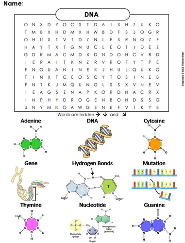 DNA Word Search by ScienceSpot - Teaching Resources - Tes