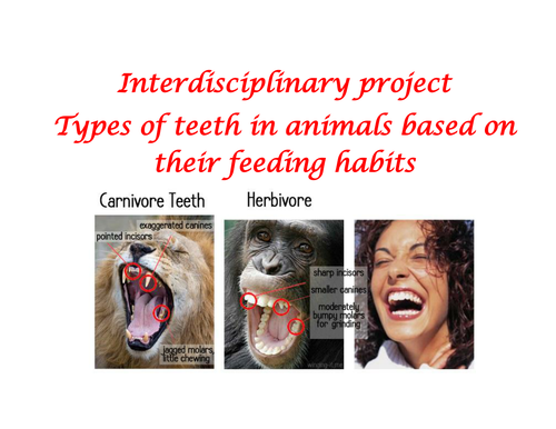 Interdisciplinary (Biology and maths)Project -Types of teeth in animals ...