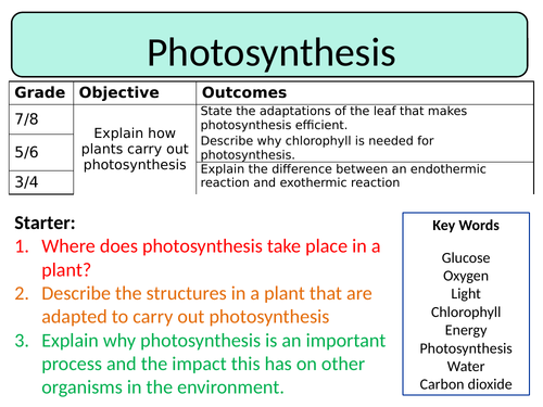 NEW AQA Trilogy GCSE (2016) Biology - Photosynthesis | Teaching Resources