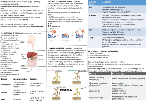 AQA Biology (9-1) Moving and Changing Materials Knowledge Organiser ...
