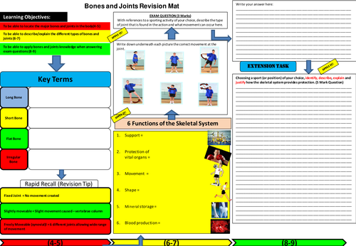 Bones and Joints revision learning mat | Teaching Resources Bones and Joints revision learning mat | Teaching Resources