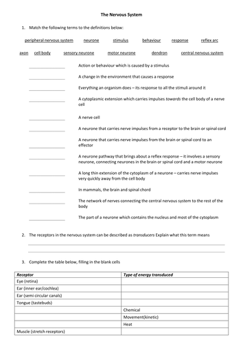 Nervous System and Reflexes | Teaching Resources