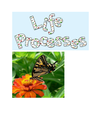Life processes | Teaching Resources