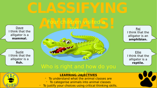 Classifying Animals! | Teaching Resources