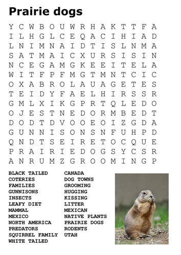 Prairie dog Word Search | Teaching Resources