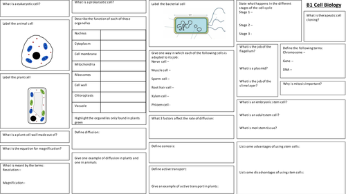 AQA B1 Cell Biology summary broad sheet | Teaching Resources