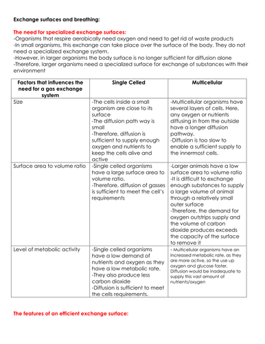 Exchange surfaces and breathing 3.1.1 OCR Biology | Teaching Resources