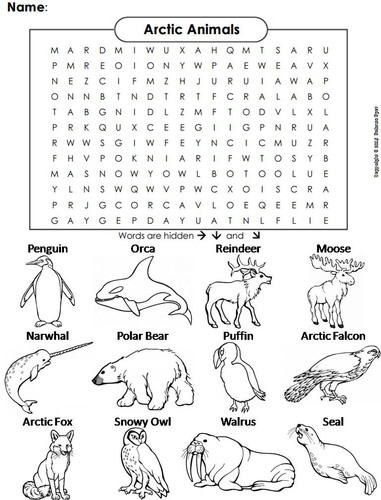 Arctic Animals Word Search by ScienceSpot - Teaching Resources - Tes