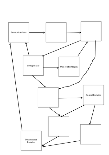Carbon and Nitrogen Card Sort and summary of decay and decomposers in ...